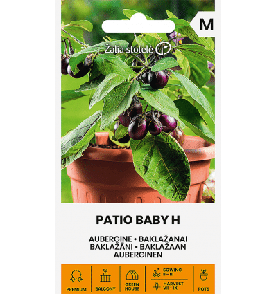 Padlizsán Patio Baby Hibrid Z.S SL - Chilimag.hu webshop